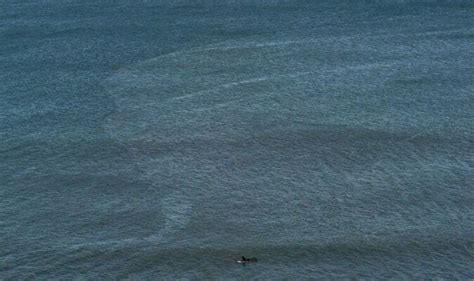 Unacceptable Water Firms Dump Sewage Into English Rivers 370000