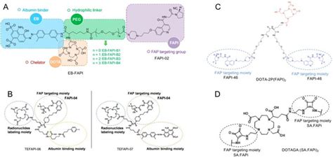Fibroblast Activation Protein Based Theranostics In Cancer Research A State Of The Art Review