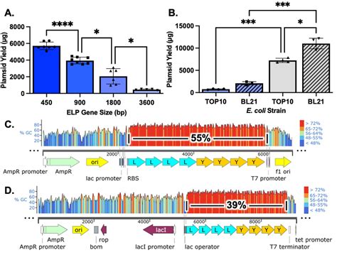 Figure 1 From Construction Of An Elastin Like Polypeptide Gene In A