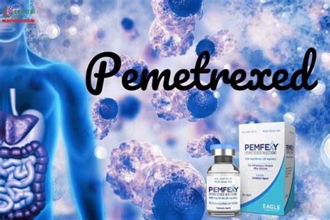 Pemetrexed Chất ức Chế Chuyển Hóa Tương Tự Folat Dược Thư Quốc Gia 2022