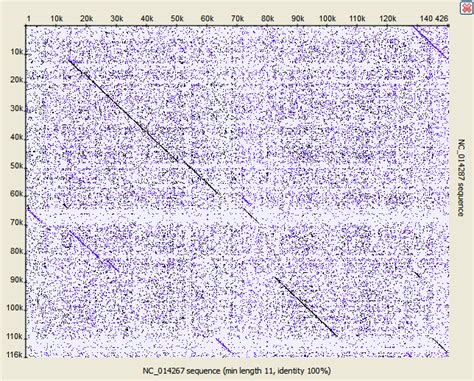 Sequence View Extensions Ugene Documentation