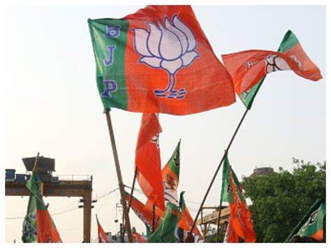 Bjp Wins 417 Out Of 814 Seats In Mp Local Body Elections