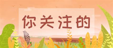考点·两极格局的形成 知乎
