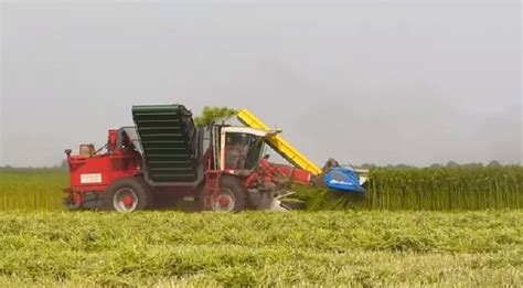 2018 Farm Bill Provides A Path Forward For Industrial Hemp Hemp