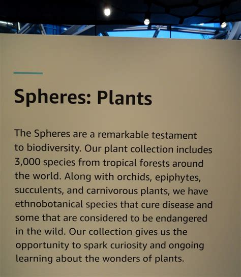 Danger Garden The Understory At The Amazon Spheres What Everyone Was