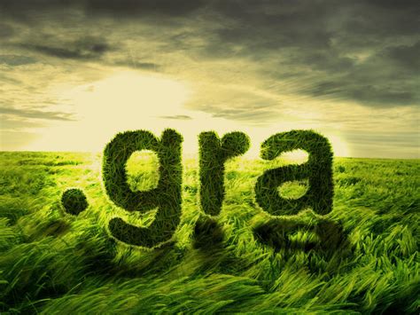 Gra By Paulperes On Deviantart