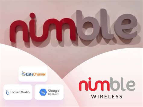 How Datachannel Enabled A Smoother Data Integration Process For Nimble