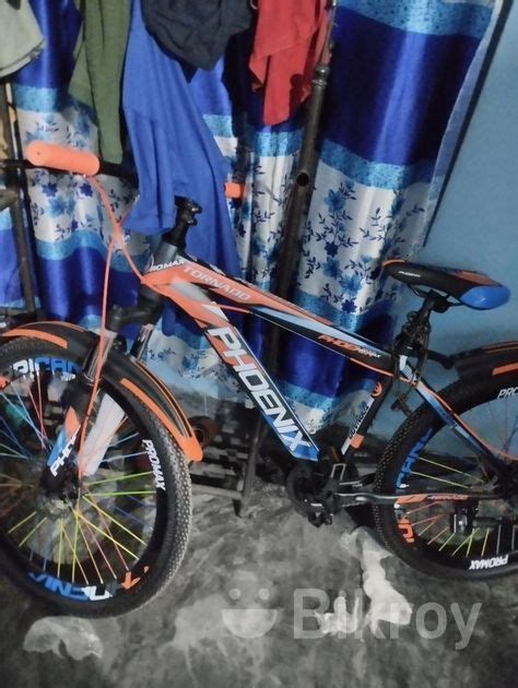 Phonix Pro Cycle Modern More Bikroy