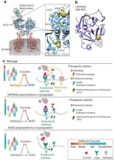 Journal Watch New Insights Into Genetic Susceptibility