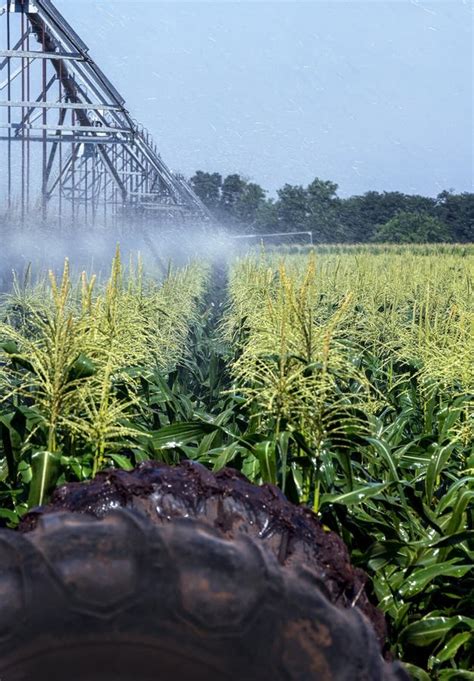 Irrigation System On The Corn Field Stock Image Image Of Industry
