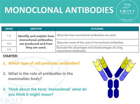 Monoclonal Antibodies Infection And Response Swyft Resources