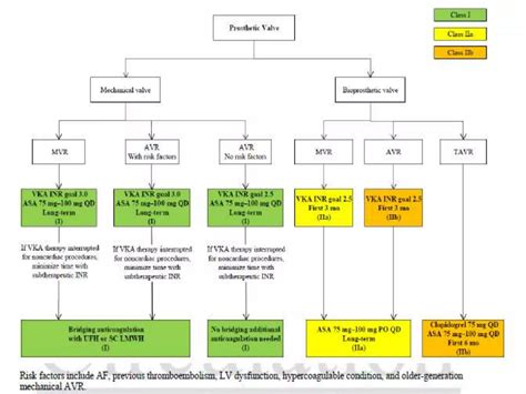 Oral Anticoagulants Ppt Pptx
