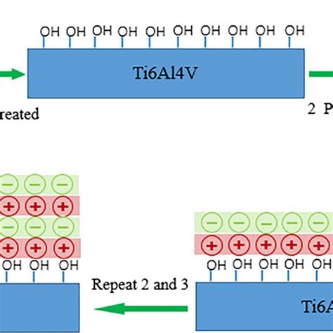 Schematic Representation Of The Layer‐by‐layer Assembly Process The