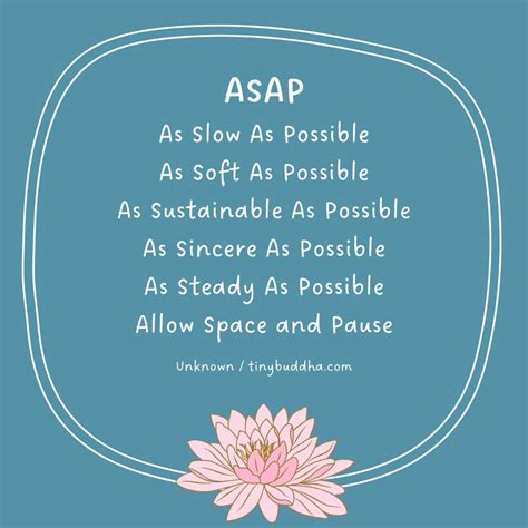 Seattle Massage Oasis Seattle Wa