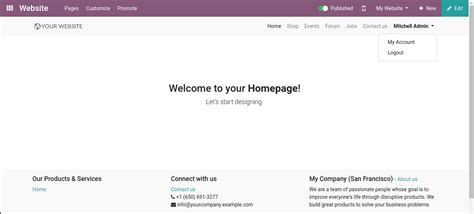 Customer Portal Access In Odoo 13