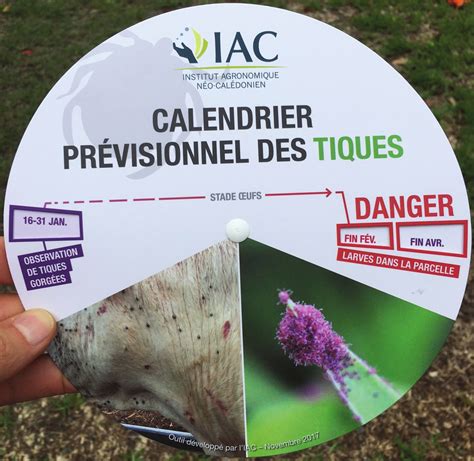 The Tick Prediction Calendar Iac Download Scientific Diagram