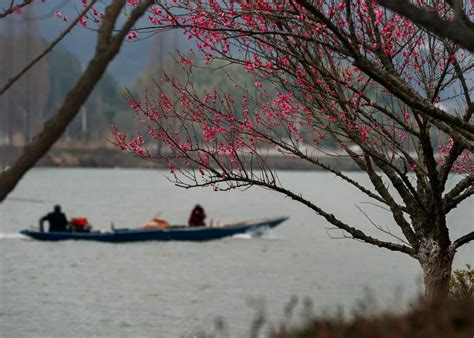 建德人家门口又要“上新”啦！听说，现在都流行逛ta澎湃号·政务澎湃新闻 The Paper