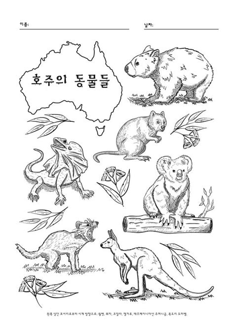 컬러링 페이지 색칠 공부 색칠 놀이 무료 도안 저작권 걱정 없는 디자인 Canva캔바