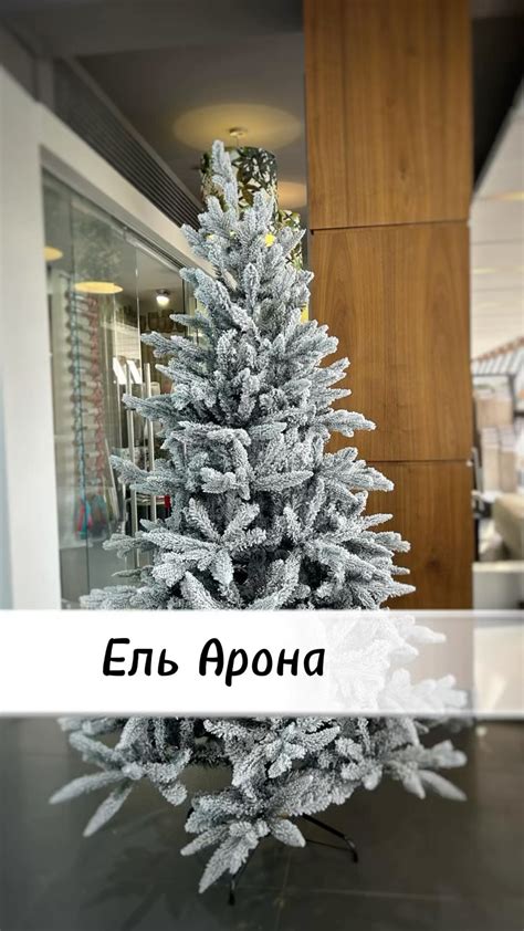 ИСКУССТВЕННЫЕ ЕЛКИ 🎄Минск (@elkivminske) • Instagram photos and videos