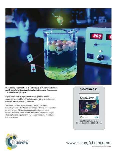 Pdf Rapid Acquisition Of High Affinity Dna Aptamer Motifs Recognizing Microbial Cell Surfaces