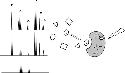 Schematic Representation Of The Std Experiment Download Scientific