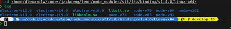 Error: Cannot find module '/leon/node_modules/stt/lib/binding/v1.4.0/linux-x64/node-v108/stt ...