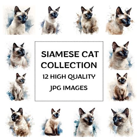Siamese Cat Svg Etsy