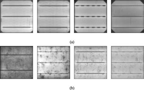 Examples On El Images Taken Form The Elpv Dataset [34] A Mono C Si Download Scientific