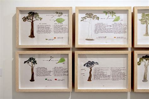 Abel Rodríguez In Memoriam