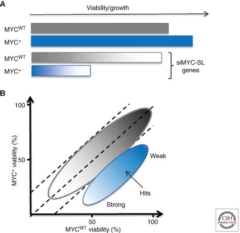 Synthetic Lethal Screens As A Means To Understand And Treat Myc Driven