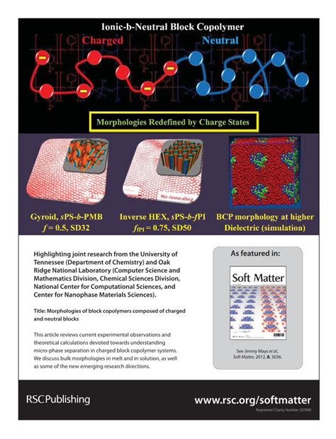 Pdf Morphologies Of Block Copolymers Composed Of Charged And Neutral