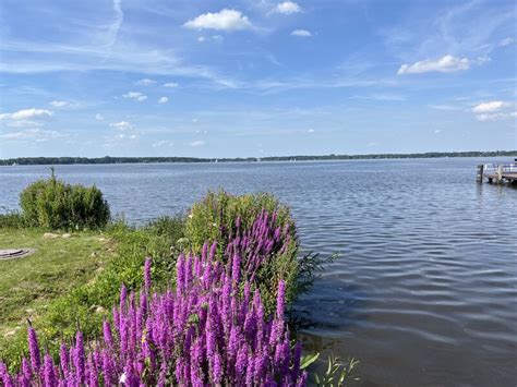 Hij Doet Een Loopbaantraject Bij Ons Omdat Hij Eens Grondig Wil