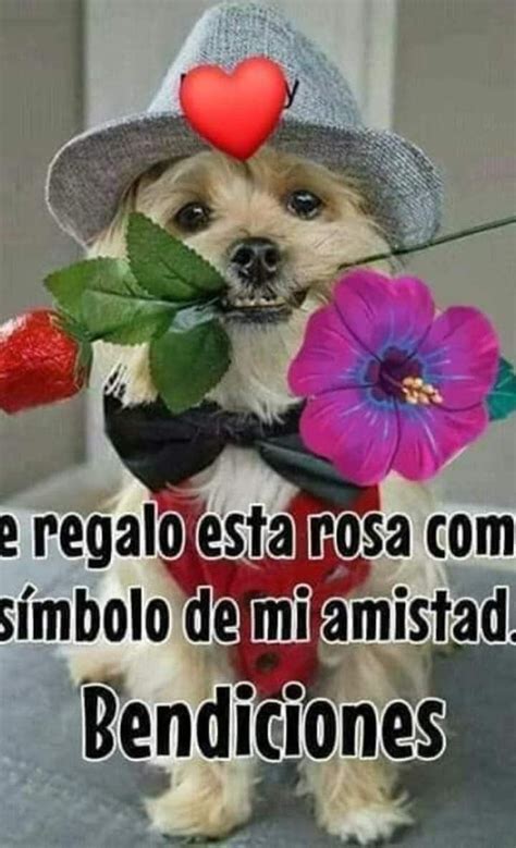 Pin De Ruth Cristina En Guardado Rápido Frases Graciosas De Buenos