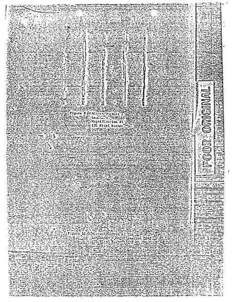 Exploitation Report Congo Pdf World International Music Music