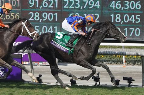 画像・写真｜日本の現役最強馬vs欧州6冠馬に注目！ ジャパンカップはあの「特注馬」で大万馬券をゲット！！｜週プレnews