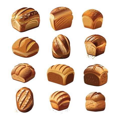 Premium Vector Fresh Bread Vector Set