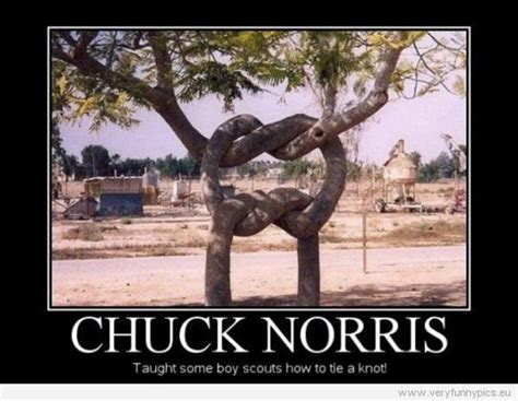 The 18 Funniest Chuck Norris Jokes Of All Time Artofit
