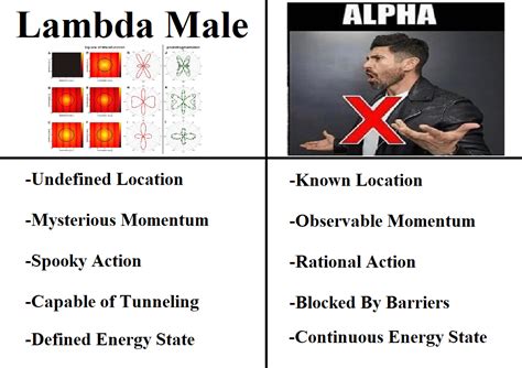 alpha male vs lambda male know the facts lambda males know your meme