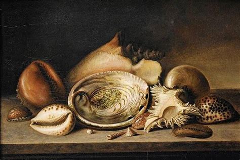 Abalone Drawings Pixels