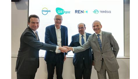 Transformation Of The Gas Grid Into Hydrogen Grid