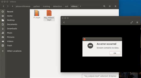how to save video processing on detectnet · issue 666 · dusty nv