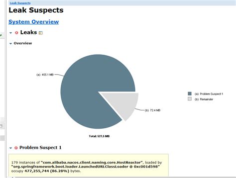 Created Many Hostreactor Objexcessive Memory Usage · Issue 7338