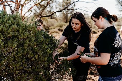 Scotdesco Aboriginal Community Wardu Camp Bookabie Sa