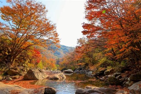 단풍 명소에서 심심한 등산만… 가을을 즐기는 색다른 방법