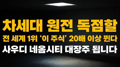 주식 차세대 원전 독점할 전 세계 1위 이 주식 20배 이상 뛴다 사우디 네옴시티 대장주 됩니다 원전주식전망 12