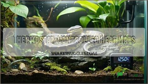 Ball Python Humidity Setup Guide Perfect Levels And Pro Tips 2025