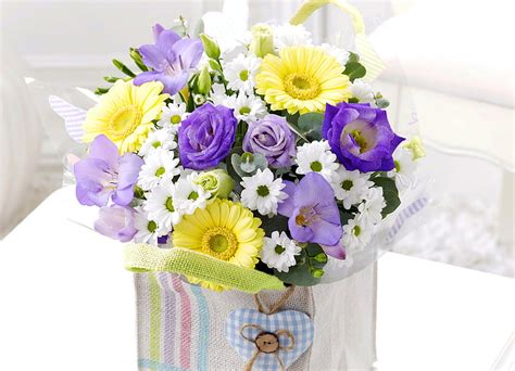 白、 紫、 黄色の花びらの花、 バラ、 花束、 ガーベラ、 菊、 花、 トルコギキョウ、 Hdデスクトップの壁紙 Wallpaperbetter