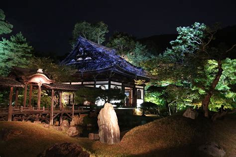 高台寺 夏の夜間特別拝観 ざ・京都