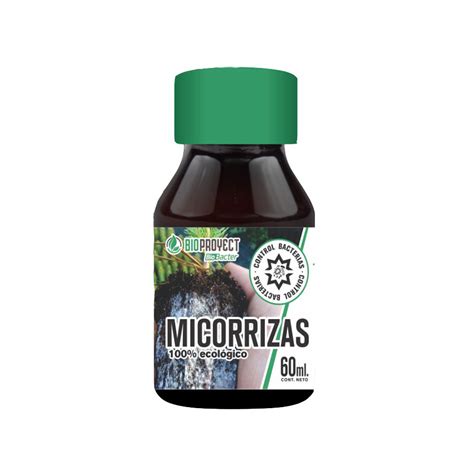 Micorrizas Bioproyect