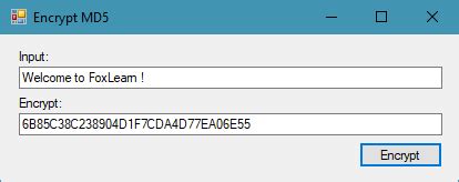 FoxLearn Windows Forms MD5 Encryption In C